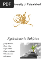 Crop Calendar Pakistan | PDF