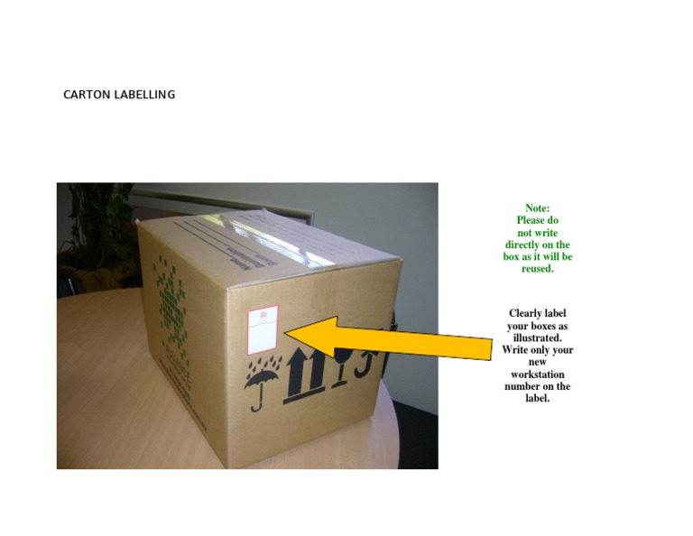 Carton Labeling Instructions | PDF