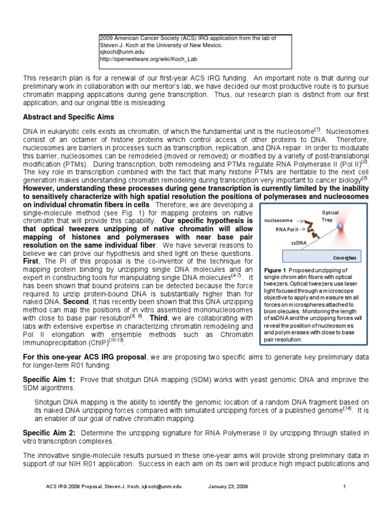 2009 ACS IRG Proposal, Submitted Research Plan | PDF | Chromatin | Histone