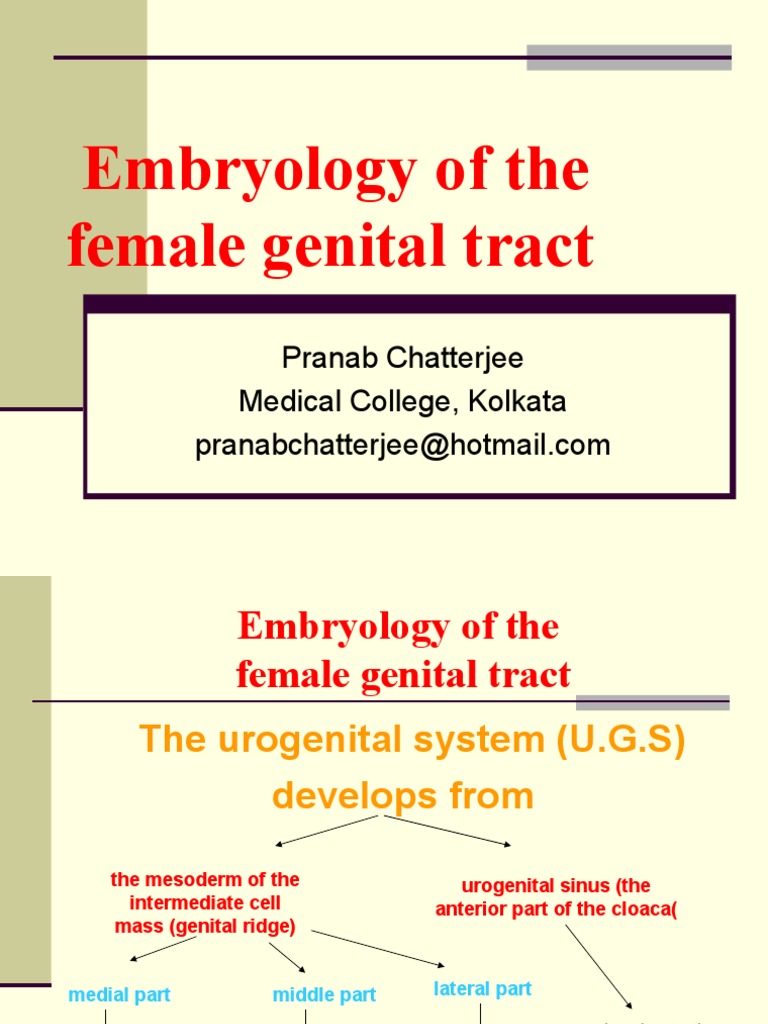 Embryology of The Female Genital Tract: Pranab Chatterjee Medical ...