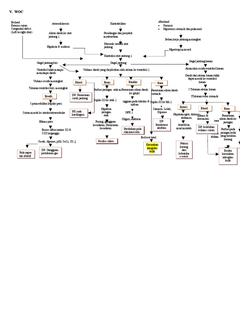 Woc CHF Baruuu | PDF