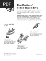 Insect Collection Labeling Guide | PDF | Typefaces | Insects