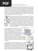 Biology project on dna fingerprinting | Dna Profiling | Polymerase ...