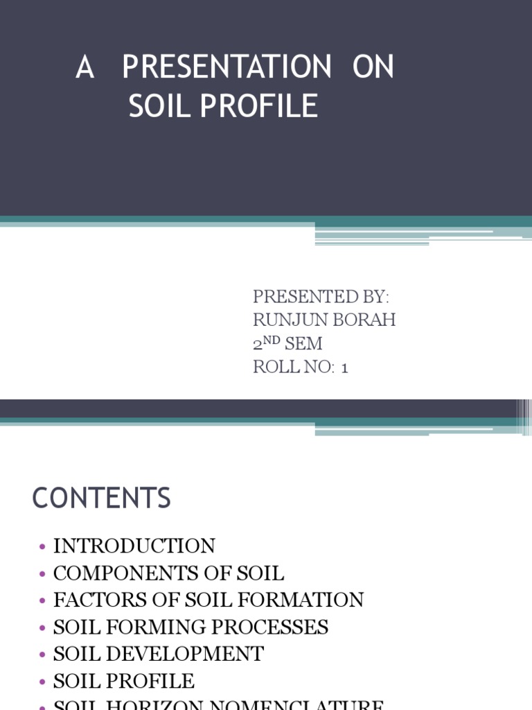 Soil Profile | PDF | Soil | Physical Geography
