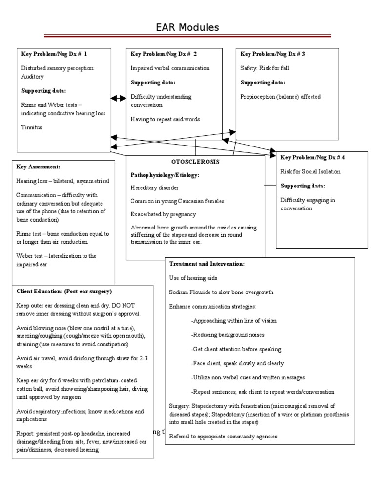 EAR Modules: Complete The Following Care Plan Using The Problem Below ...