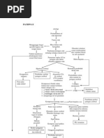 Asuhan Keperawatan: Manajemen Peningkatan Tekanan Intrakranial | PDF