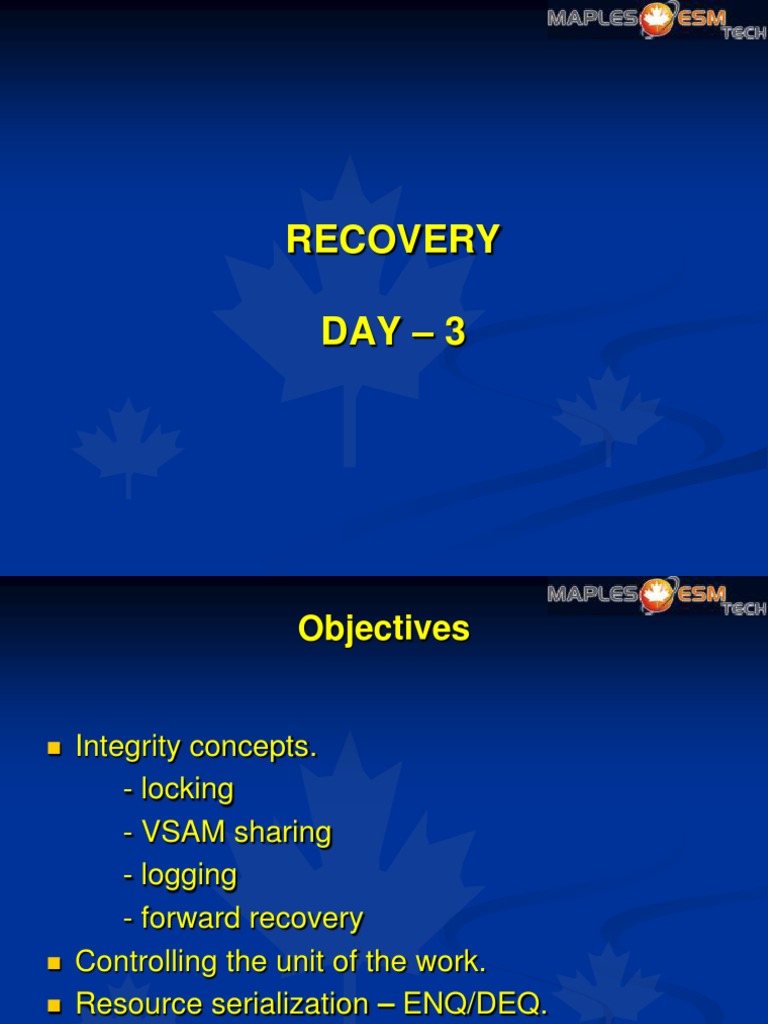Integrity Recovery | PDF | Backup | Database Transaction