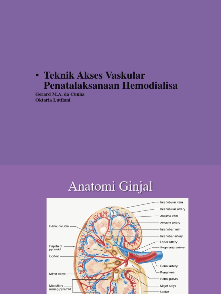 Referat Akses Vaskuler | PDF