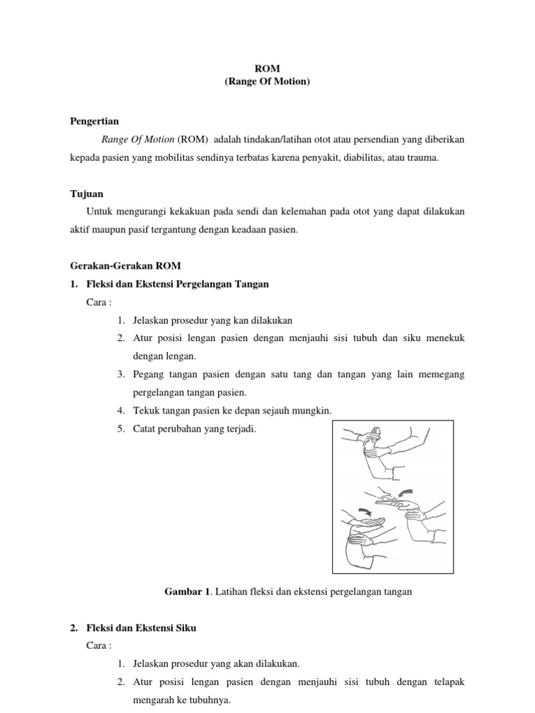 Rom | PDF