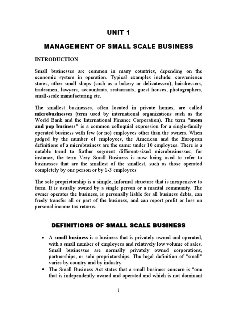 Understanding Small Business Definitions | PDF | Small Business | Small ...