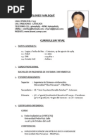 Ejemplo de CV Documentado | PDF | Ciencias de la Computación | Computadoras personales