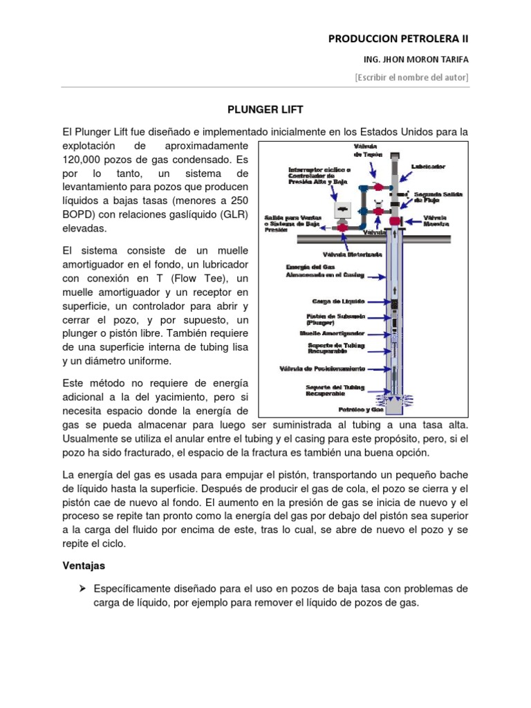 Plunger LIFT | PDF | Ingeniería mecánica | Energía y recursos