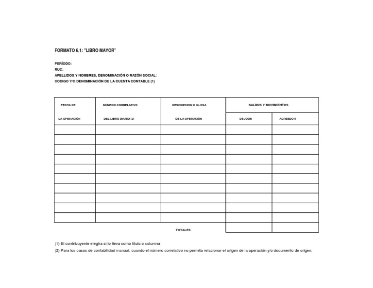 Formato 6 - Libro Mayor | PDF
