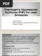 Fugl-Meyer Assessment Lower Extremity (Fma-Le) Assessment of ...