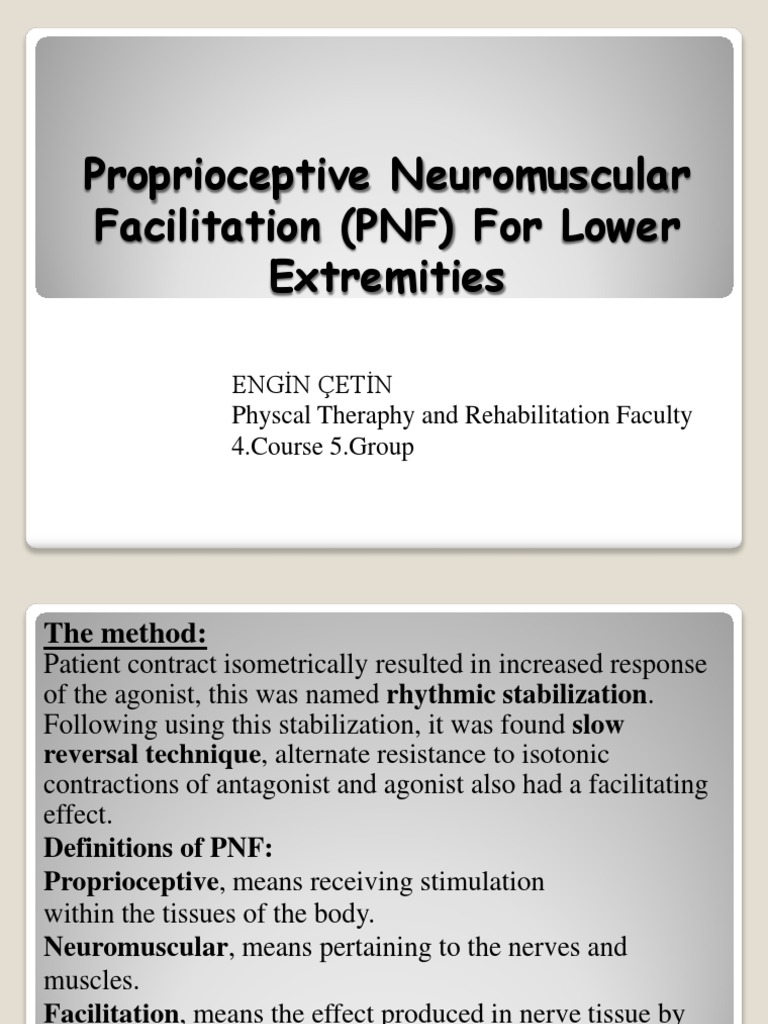 PNF Techniques for Therapists | PDF | Anatomical Terms Of Motion | Foot