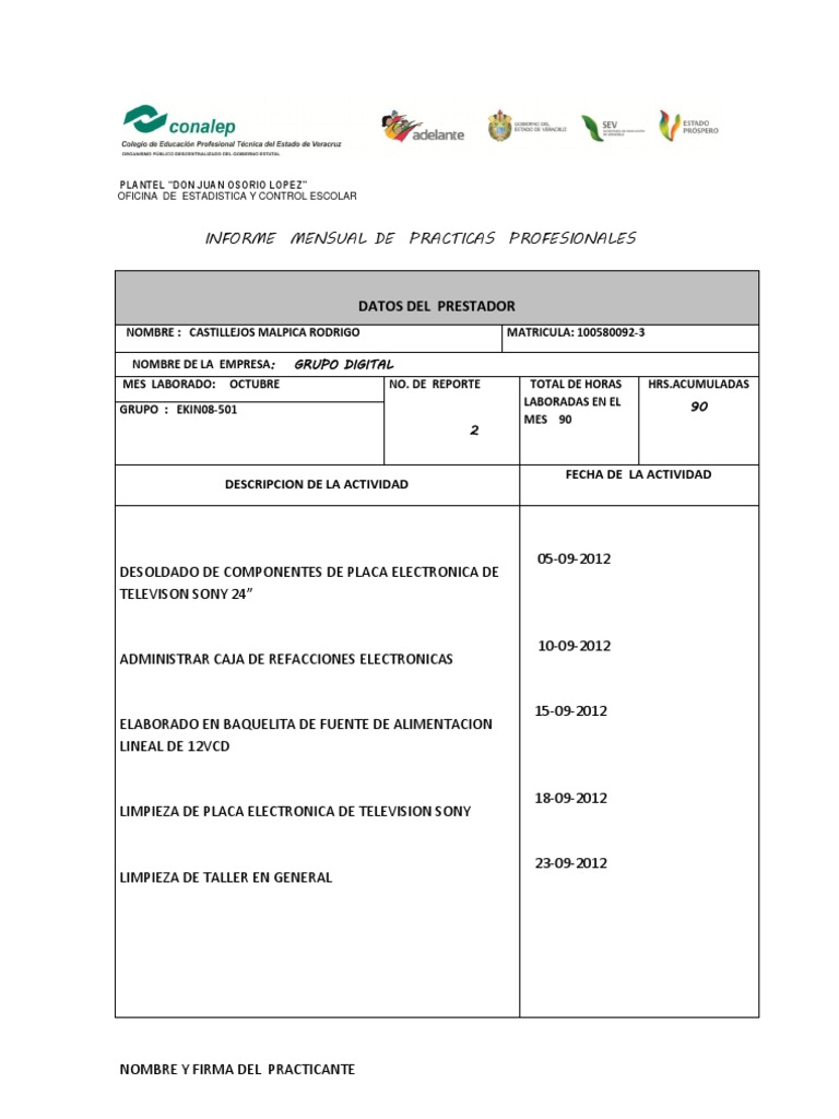 Formato Para Informe Mensual de Practicas Profesionales Formato Para Informe Mensual de Practicas Profesionales