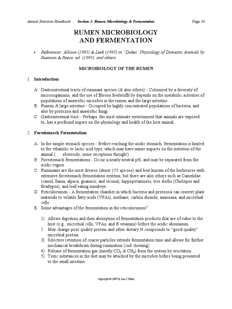 Rumen Microbiology | PDF | Ruminant | Digestion