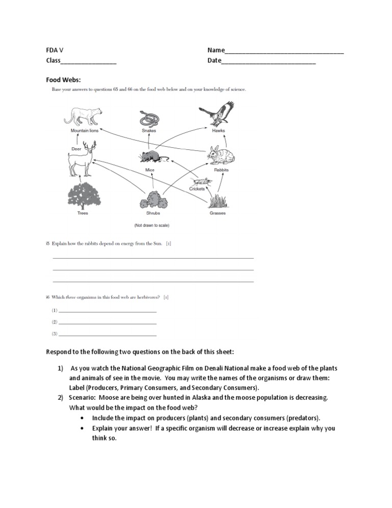 Food Webs and National Geographic Denali National Park | PDF | Wellness