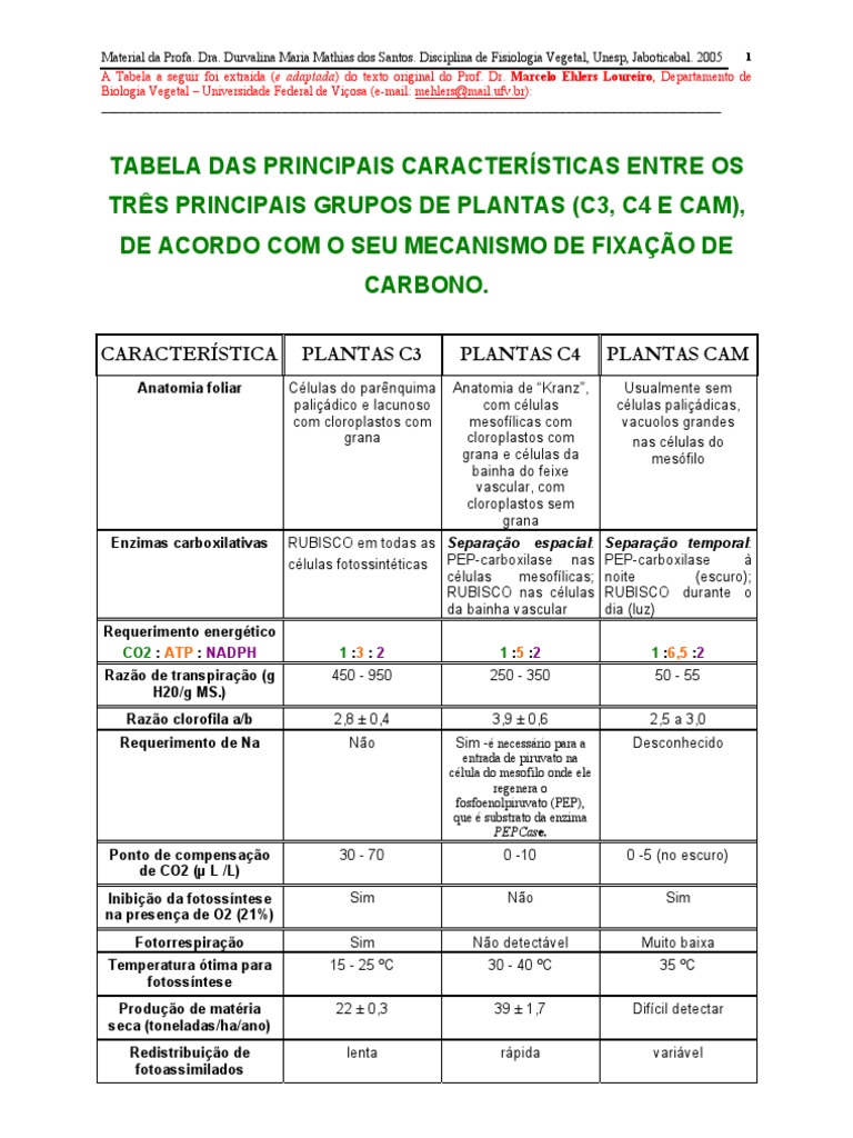 C3 C4 e Cam 01 | PDF | Plantas | Fotossíntese