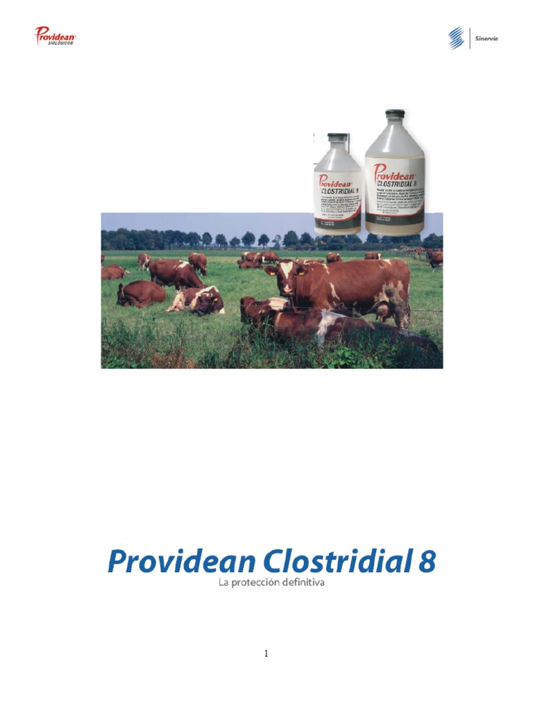 Manual de Enfermedades Clostridiales | PDF | Ántrax | Infección