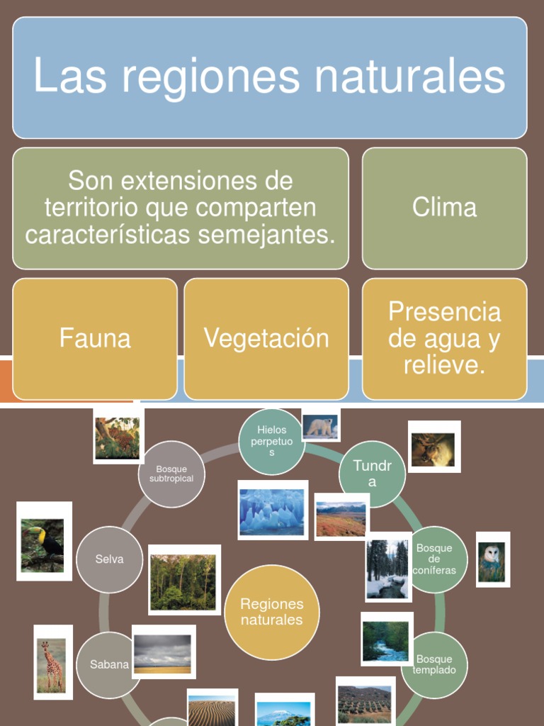 Regiones Naturales Del Mundo Y Sus Características – MFICS