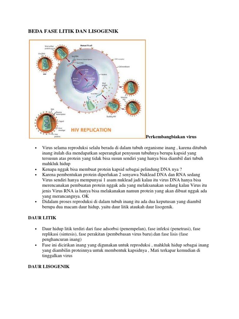 Beda Fase Litik Dan Lisogenik | PDF