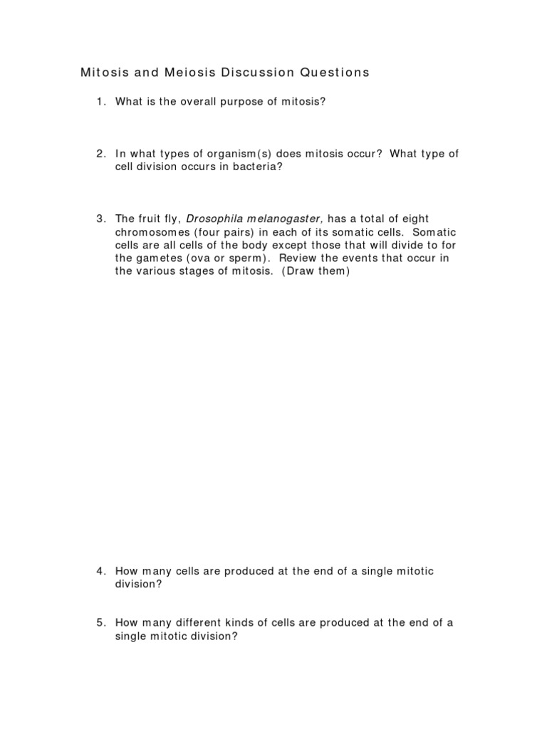 Mitosis and Meiosis Discussion Questions | PDF | Meiosis | Mitosis