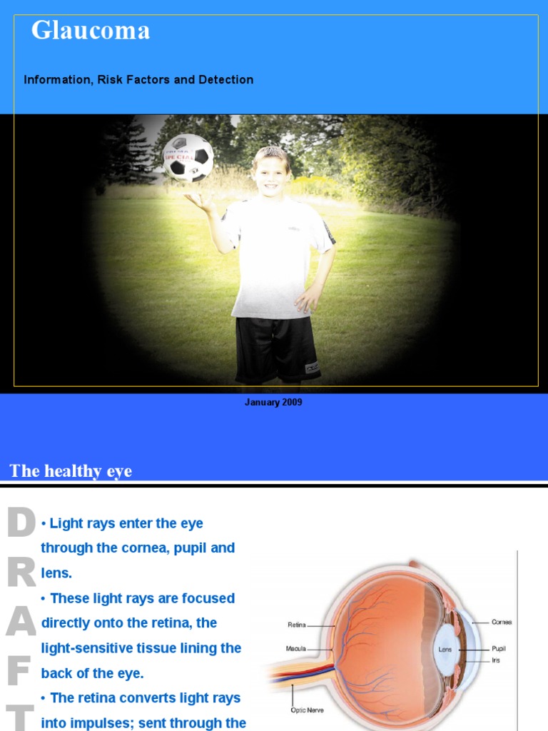 Glaucoma Presentation - Information, Risk Factors And Detection ...