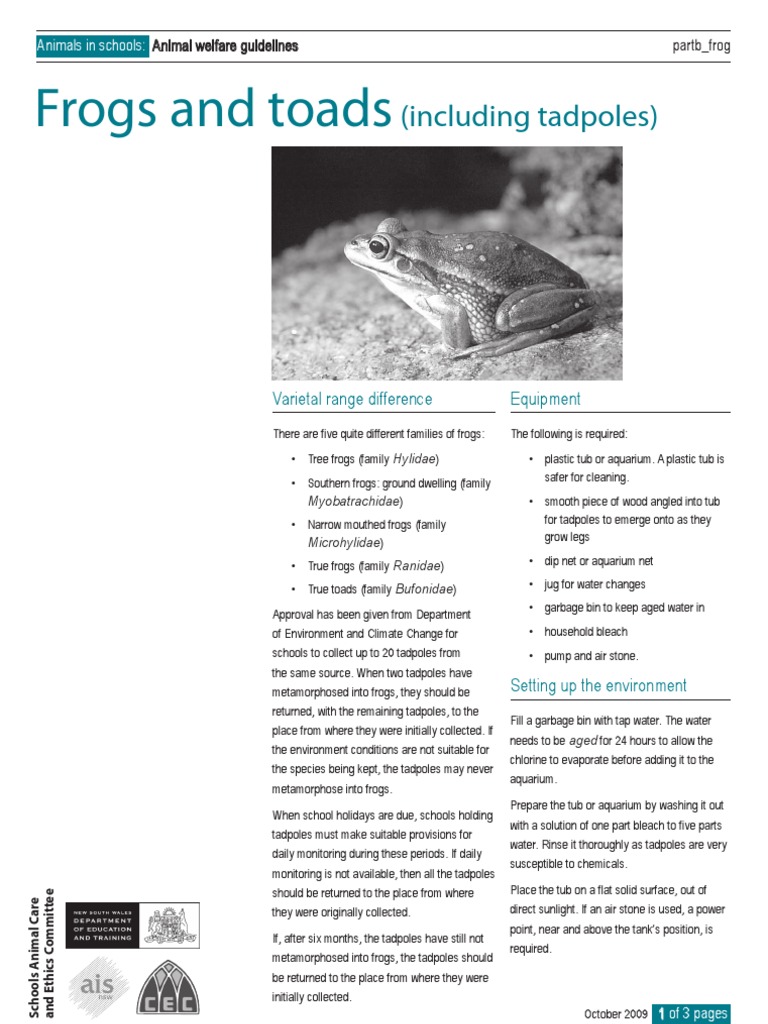 Caring for Classroom Tadpoles | PDF | Frog | Aquarium
