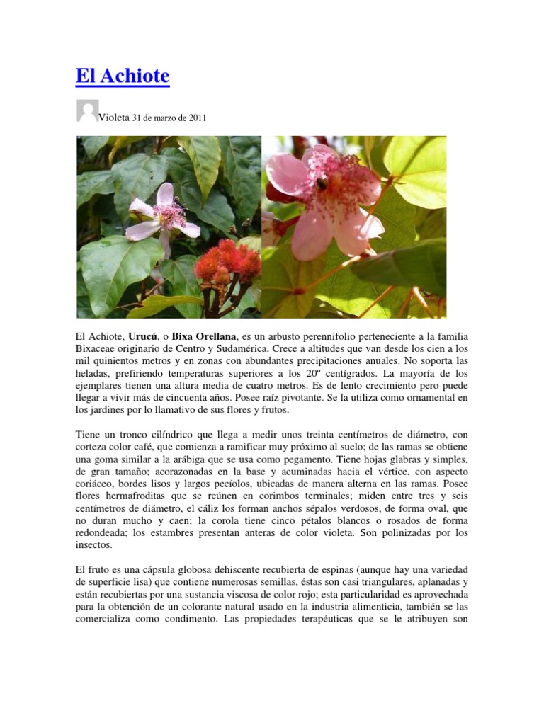 El Achiote | PDF | Plantas | Botánica