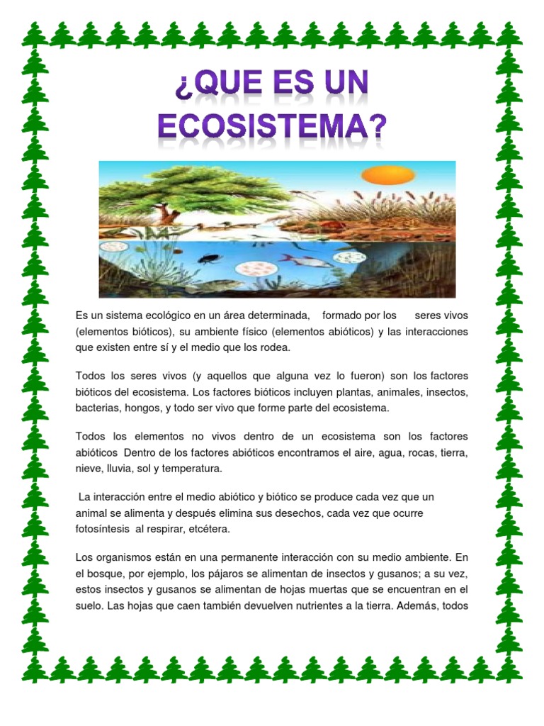 Definición y componentes del ecosistema | PDF | Ecosistema | Organismos