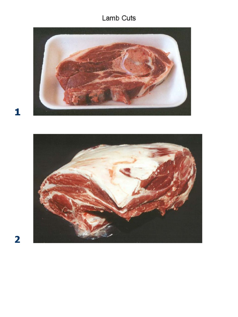 Comprehensive Guide to Lamb Cuts | PDF
