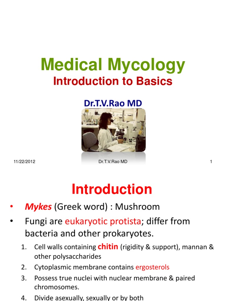 Medical Mycology Basics | Fungus | Mold