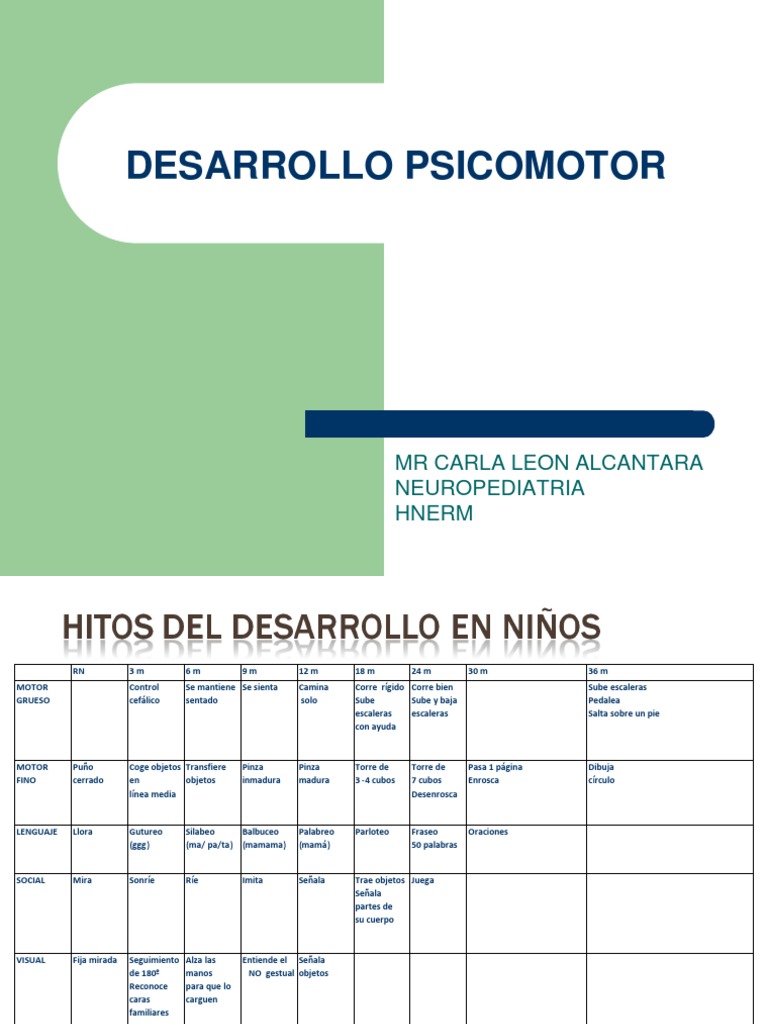 Desarrollo Psicomotor | PDF | Palabra | Percepción visual
