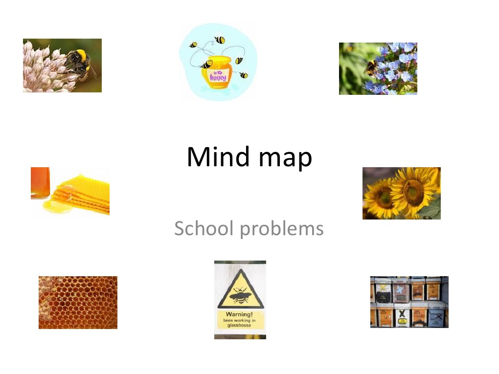 Bee Pollination and Honey Images | PDF
