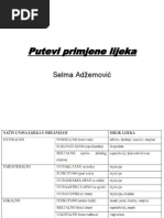 Primjer Izjave | PDF