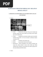 Interpretasi Foto Rontgen Anatomi Gigi | PDF