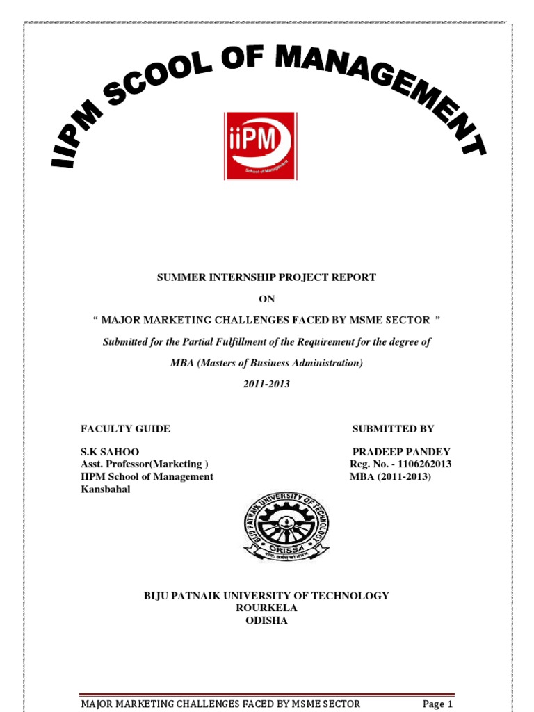 Major Marketing Problems Faced by Msme Sectors | PDF | Venture Capital ...