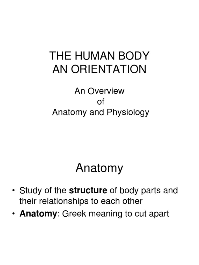 The Human Body An Orientation: An Overview of Anatomy and Physiology ...