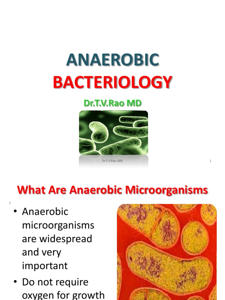Anaerobic Bacteriology | PDF | Hydrogen Peroxide | Infection