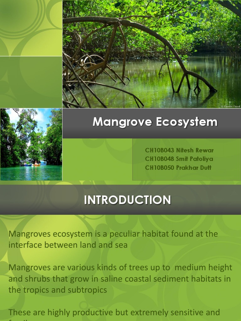 Mangrove Ecosystem: CH10B043 Nitesh Rewar CH10B048 Smit Patoliya ...