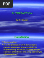 Stages of Post Mortem Lividity and Putrefaction of The Body | PDF ...