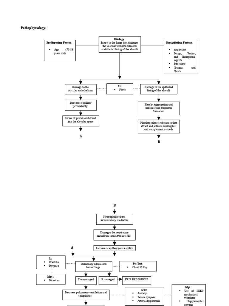 Acute Respiratory Distress Syndrome_pathophysiology | Blood Vessel | Lung