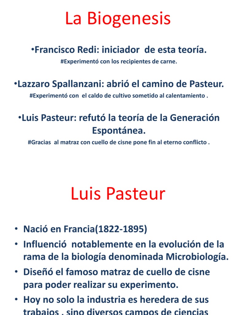 La Biogenesis | Luis Pasteur | Teorías biológicas