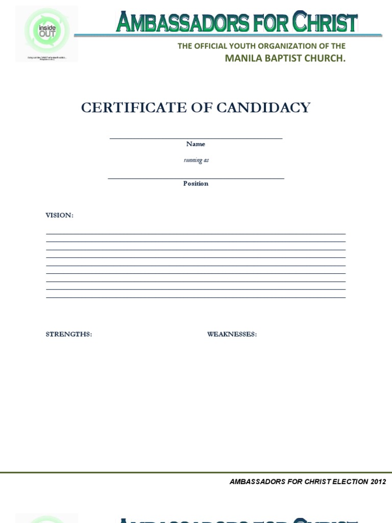 Youth Election Candidacy Form | PDF