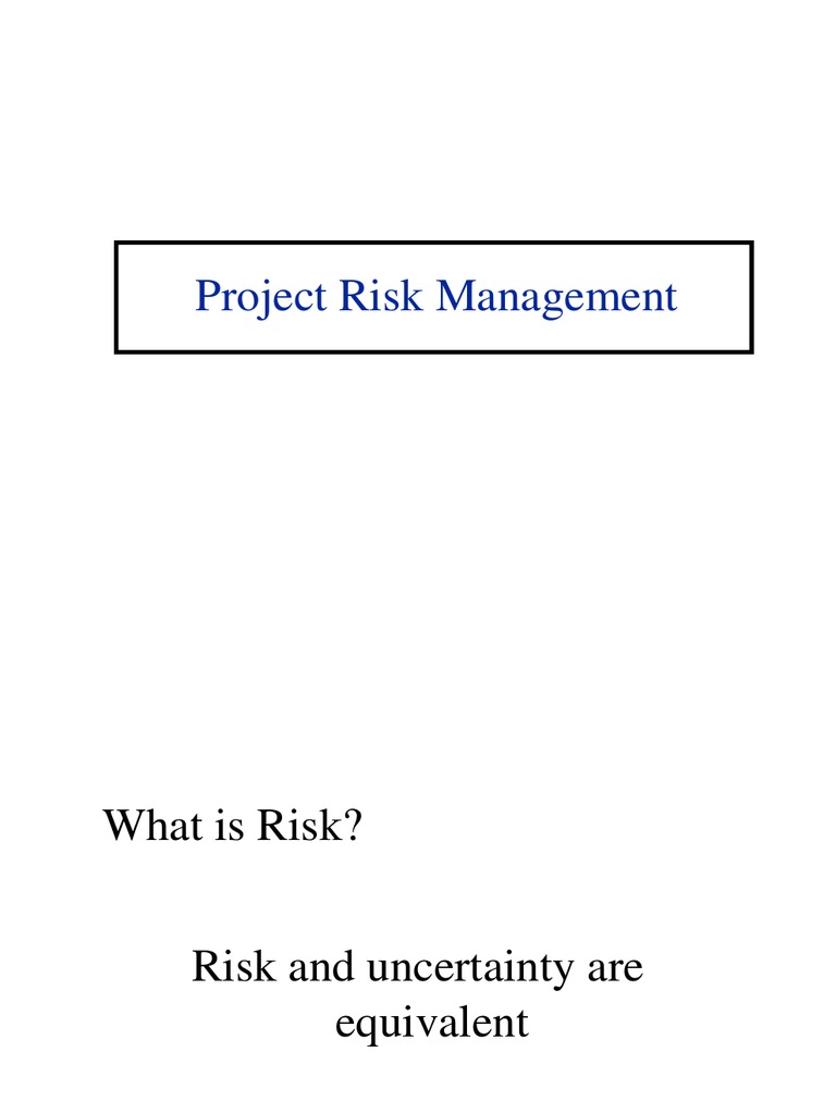 Project Risk Management | PDF | Risk | Risk Management