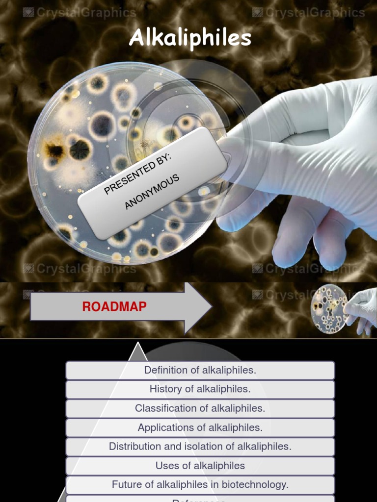 An In-Depth Analysis of Alkaliphiles: Their Classification ...
