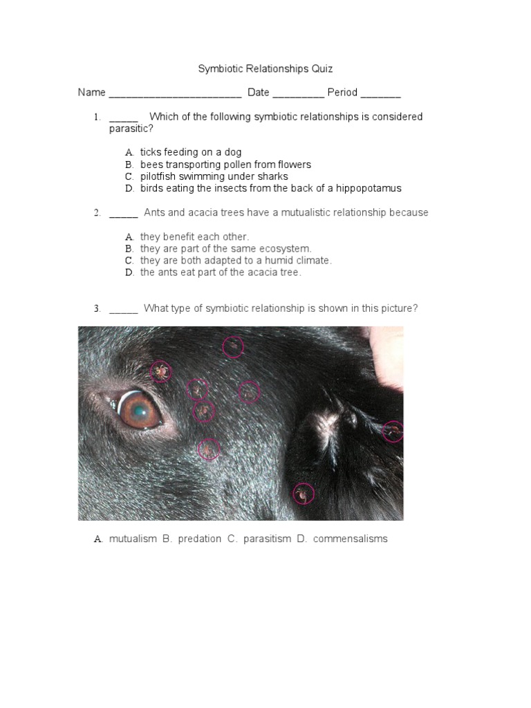 Symbiotic Relationships Quiz | PDF