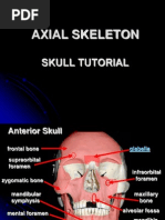 Common Bone Markings | PDF