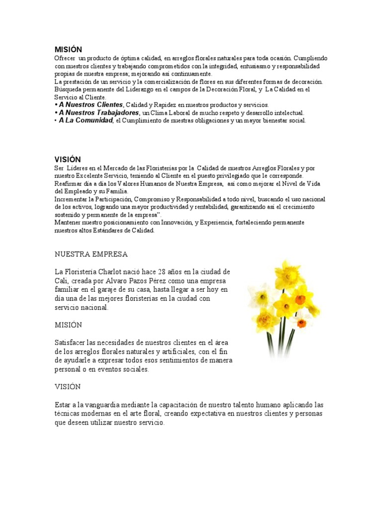 MISIÓN | PDF | Calidad (comercial) | Cliente